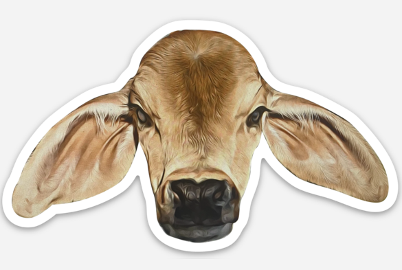 Benny the Brahma Sticker – 1915 Farm